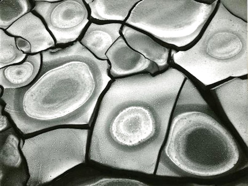 Brett Weston Photographs For Sale, Wanted