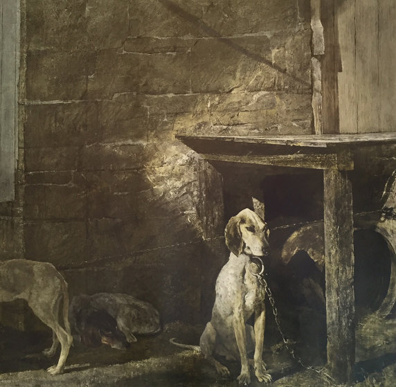 Raccoon, 1958, 33.25x33, Collotype, by Andrew Wyeth - For Sale on Art ...
