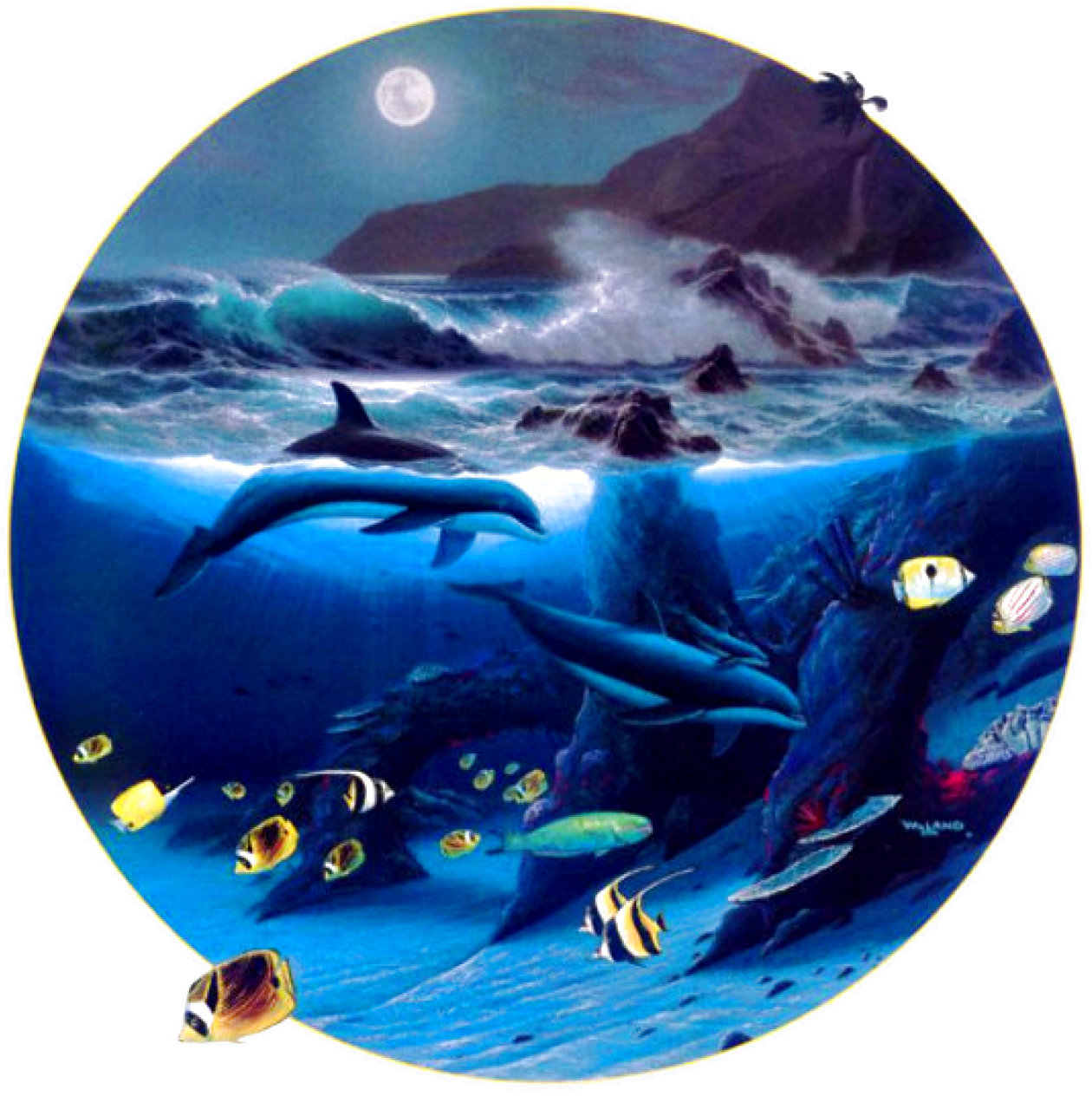 Dolphin Moon 1992 Giclee on Canvas 30x30 by Robert Wyland - For Sale on ...