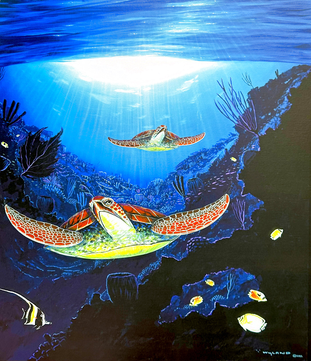 Sea of Turtles 2011 Limited Edition Giclee on Canvas by Robert Wyland ...