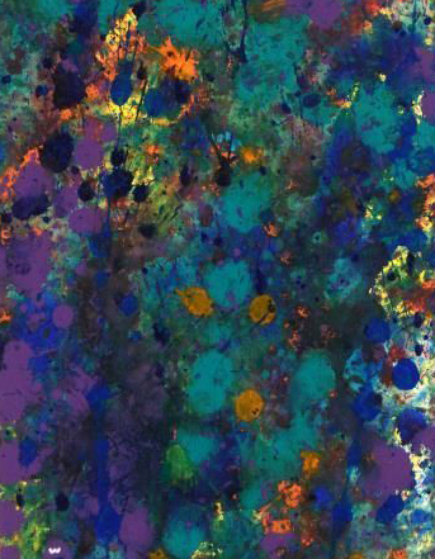 Coral Reef Watercolor 2015 22x25 by Robert Wyland - For Sale on Art ...